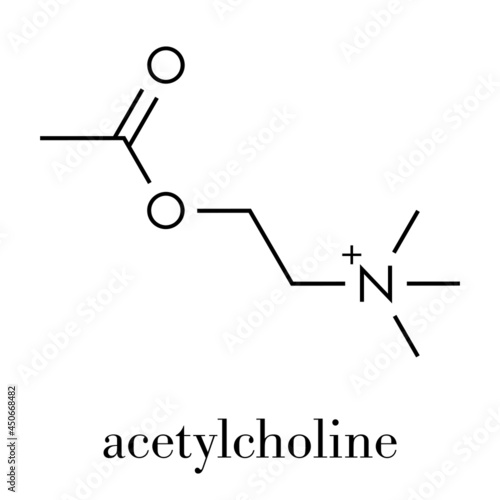 Acetylchloline (ACh) neurotransmitter molecule. Skeletal formula. Stock ...