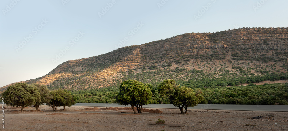 Rocky Mountains with oak trees at sunset, A panoramic view of northern ...