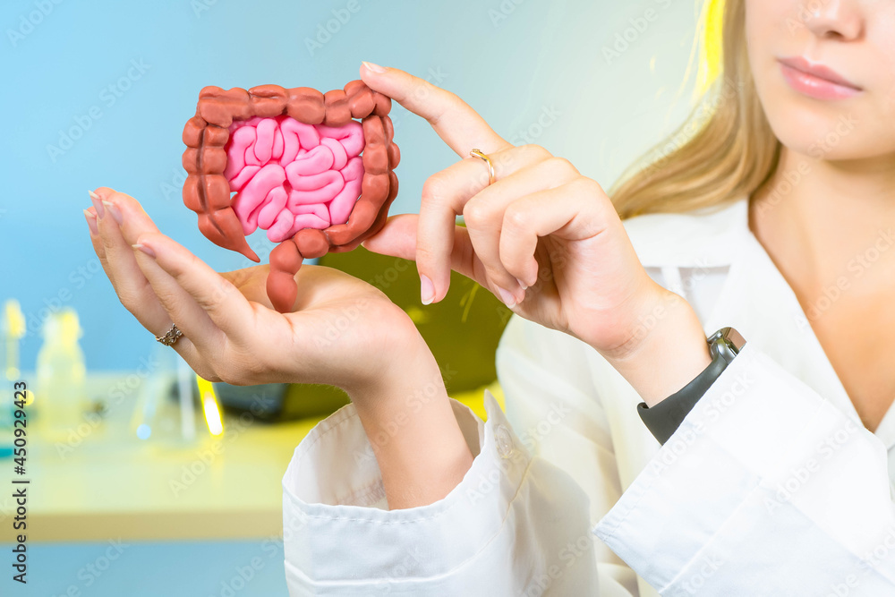 gastrointestinal tract. Human intestinal health. Detailed model of ...