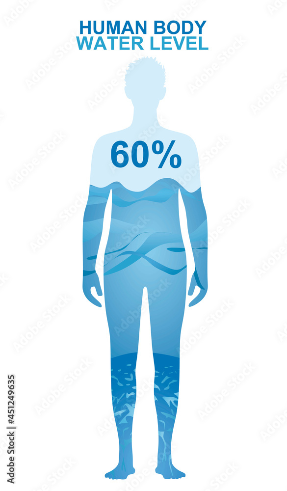 Human body water level. vector Stock Vector | Adobe Stock