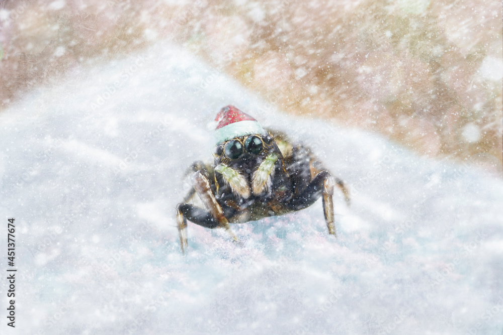 Spider Santa Claus. Funny spider in a Santa Claus hat. It's snowing all ...