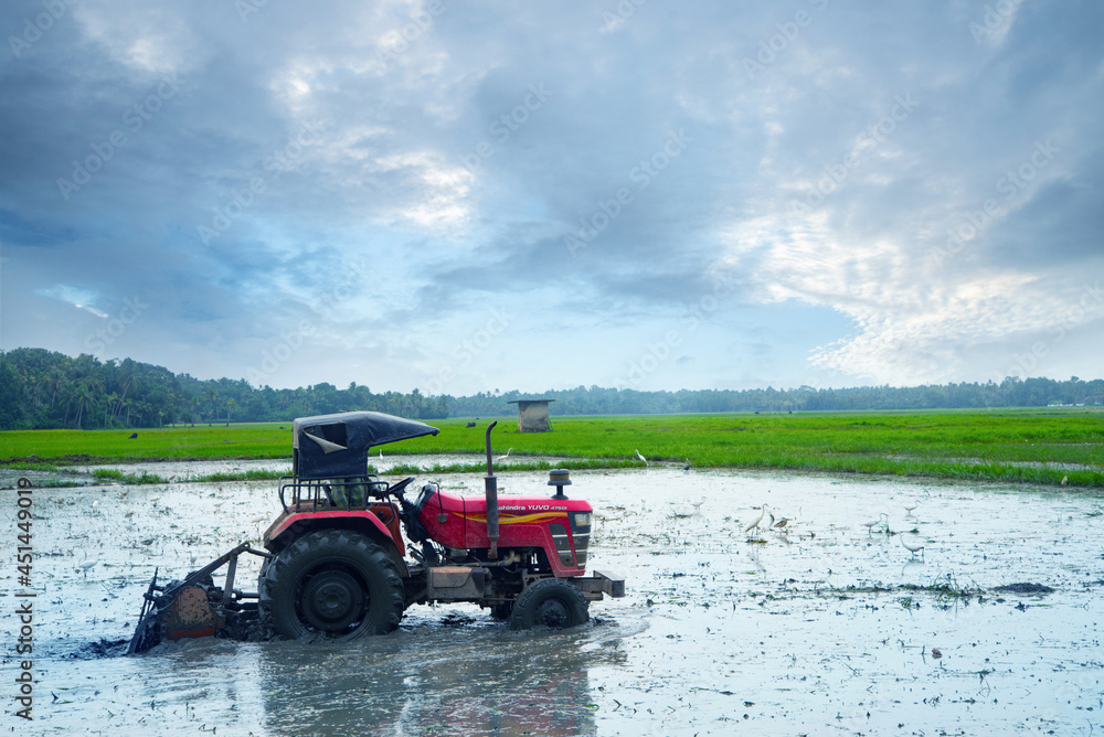 A tractor prepares a paddy field, Tractor Plowing a rice field for rice ...