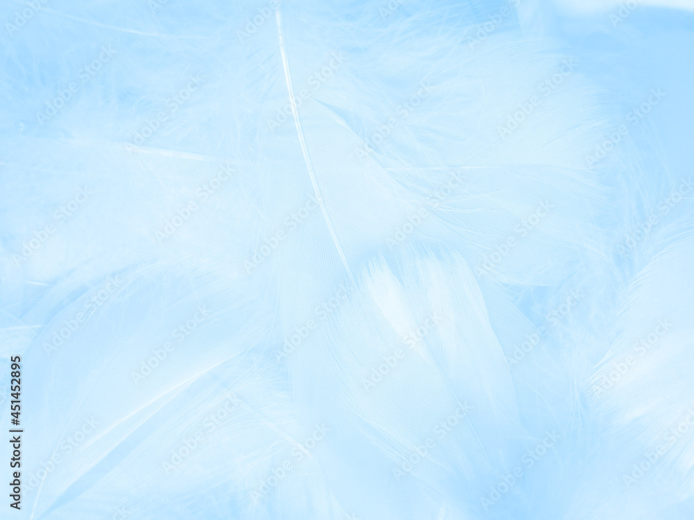 Fotografie Beautiful abstract blue feathers on white background, white ...