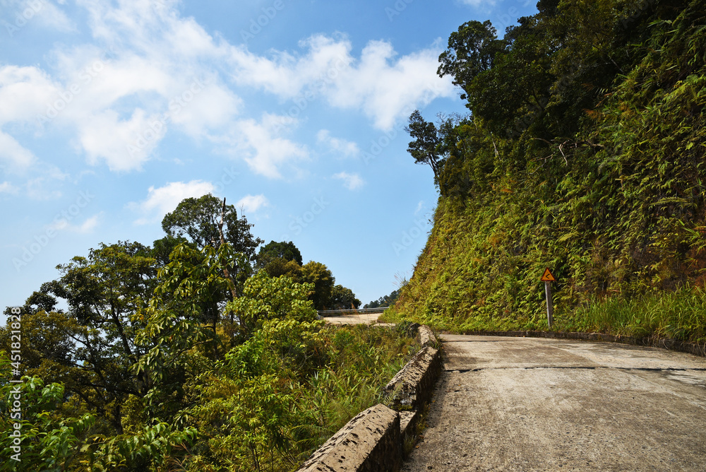 Serpentine mountain road among trees and greenery, illuminated by the ...