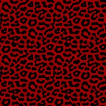 Red Leopard Skin Background Free Stock Photo - Public Domain Pictures