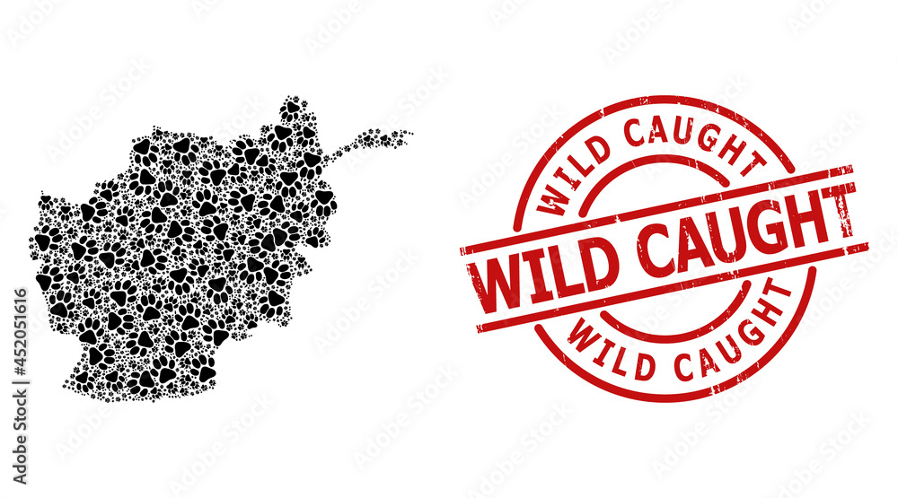 Distress Wild Caught seal, and tiger fingerprints mosaic of Afghanistan ...