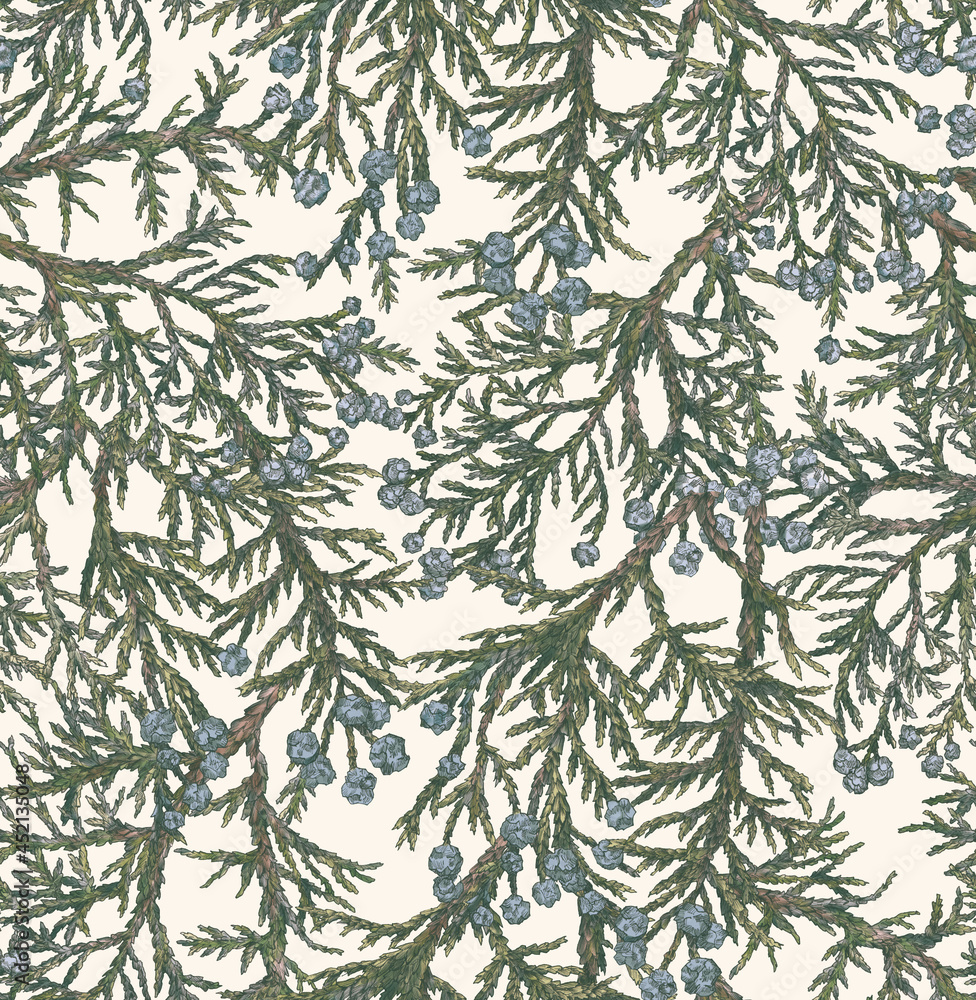 Seamless pattern with juniper branches and berries. Background with fir ...