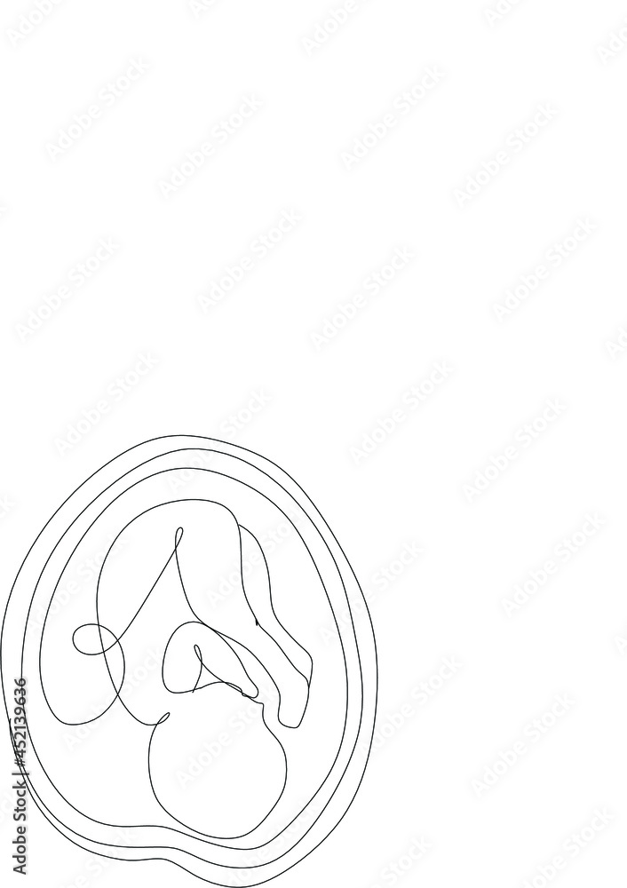 Baby embryo line art line art Stock Vector | Adobe Stock