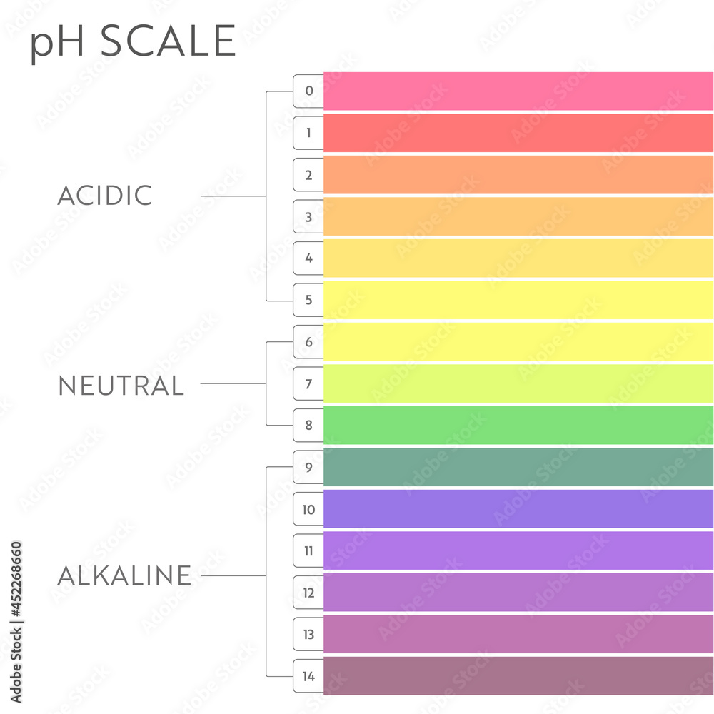 pH Value scale chart. Acid-base balance infographic. Education Poster Stock Vector | Adobe Stock