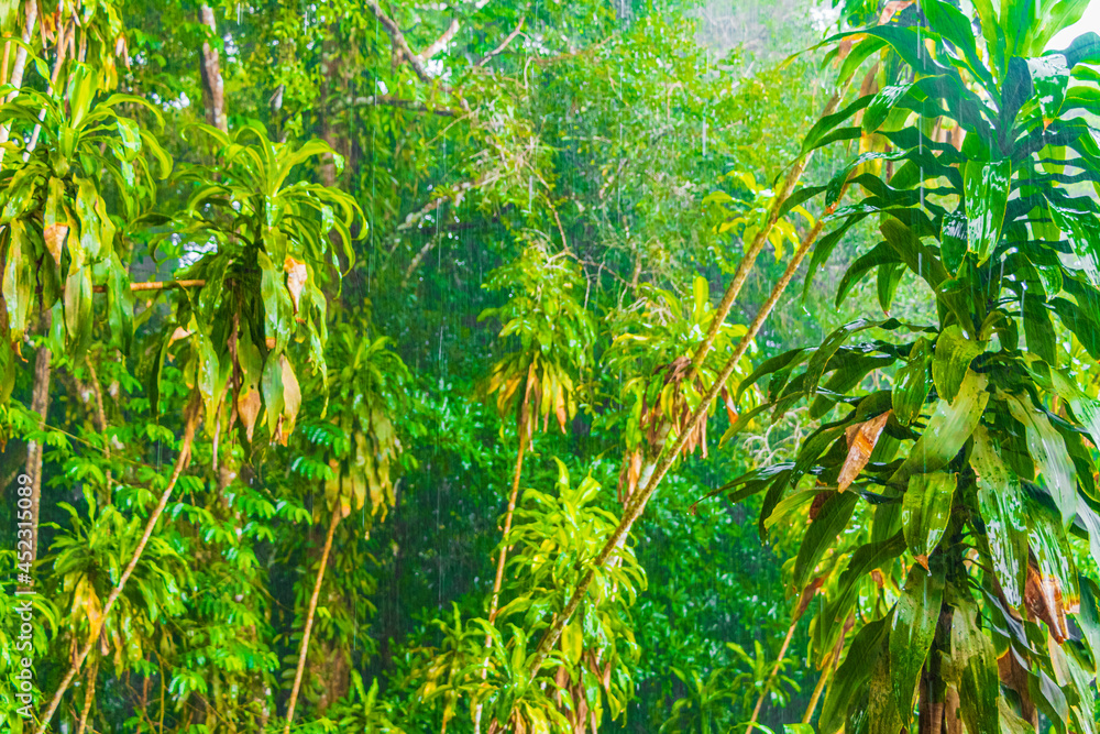 Monsoon rain Tar Nim Waterfall Secret Magic Garden Koh Samui. Stock ...