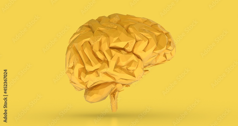 Human brain activity with plexus lines.. External cerebral connections ...