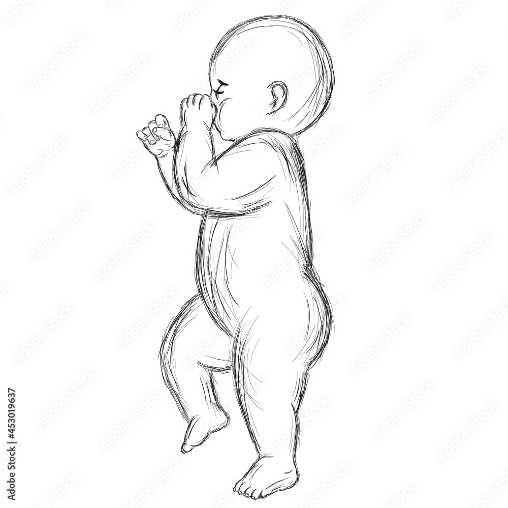 Sketch of cute sleeping baby. Line art. Newborn illustration. Hand ...