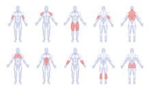 Muscle Man 2 Free Stock Photo - Public Domain Pictures