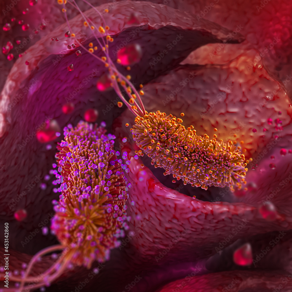 Medical background, lophotrichous bacteria with a monopolar arrangement ...
