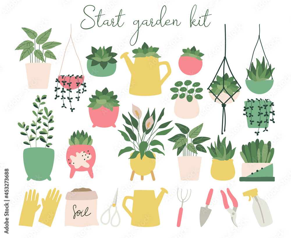 Houseplants set. Indoor Plants. Cacti, Succulents in pots. Cute Cactus ...