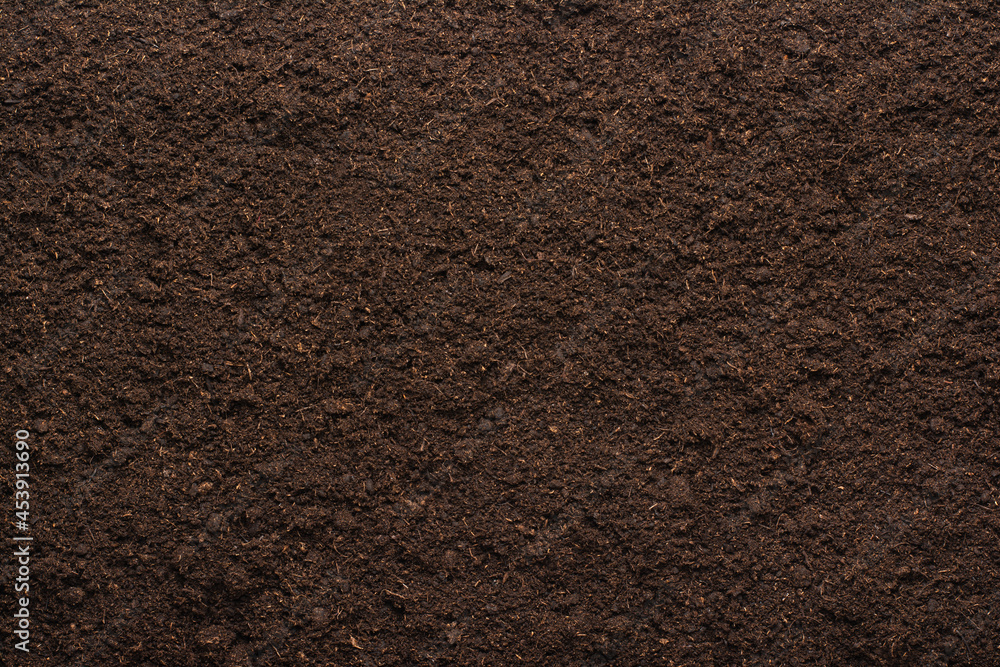 Peat moss soil background texture Stock Photo | Adobe Stock