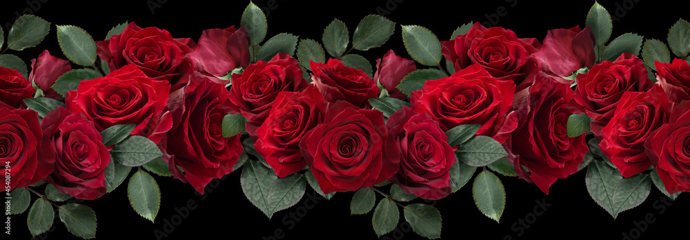 Black And Red Rose Background