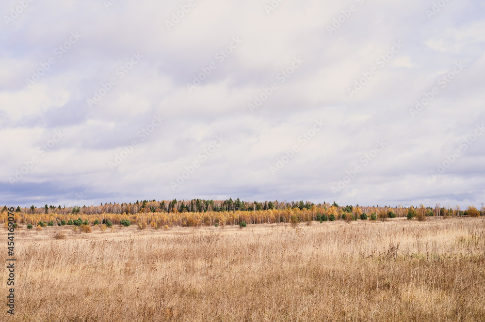 autumn plain landscape. fall low sky with clouds, trees with yellow ...
