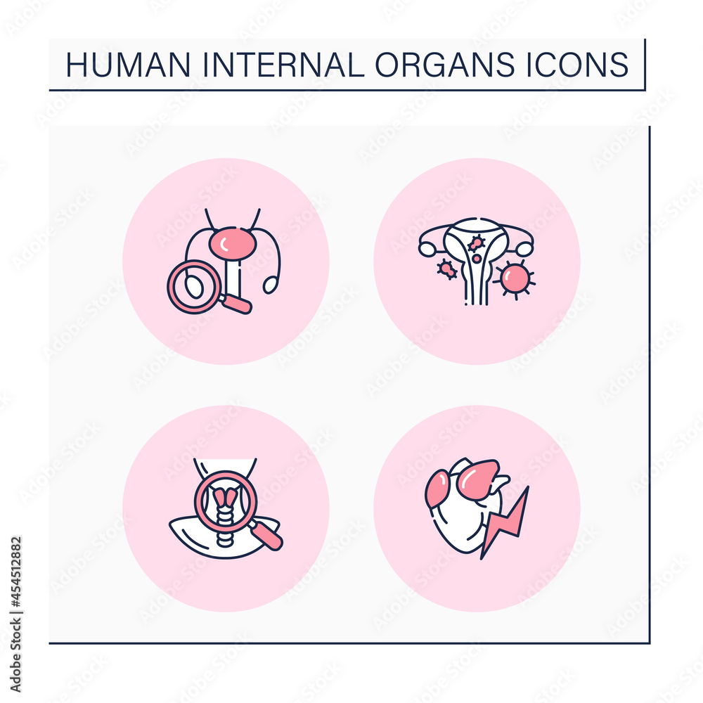 Human internal organs color icons set. Male and female reproductive ...