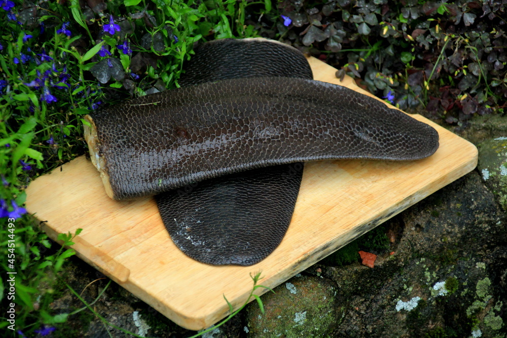 Fresh Beaver tails on a wooden kitchenboard. Natural background ...