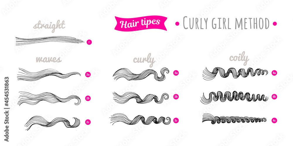 Scheme of curly hair of different types. Straight, waves, curly, coily ...