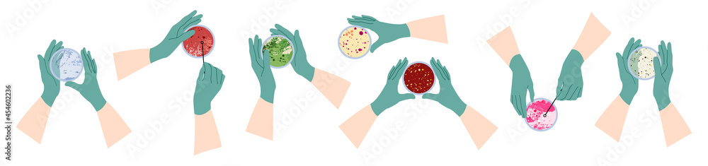 Scientist's hand in glove holding Petri dish, plate with agar ...