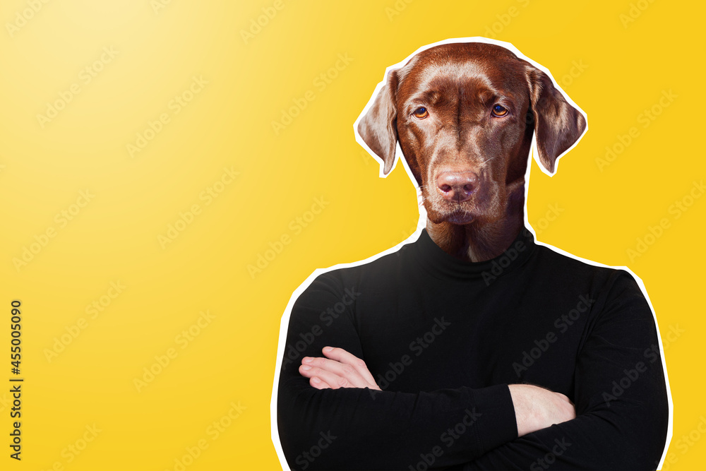 Serious dog with human torso. Contemporary art collage. Dog man on ...