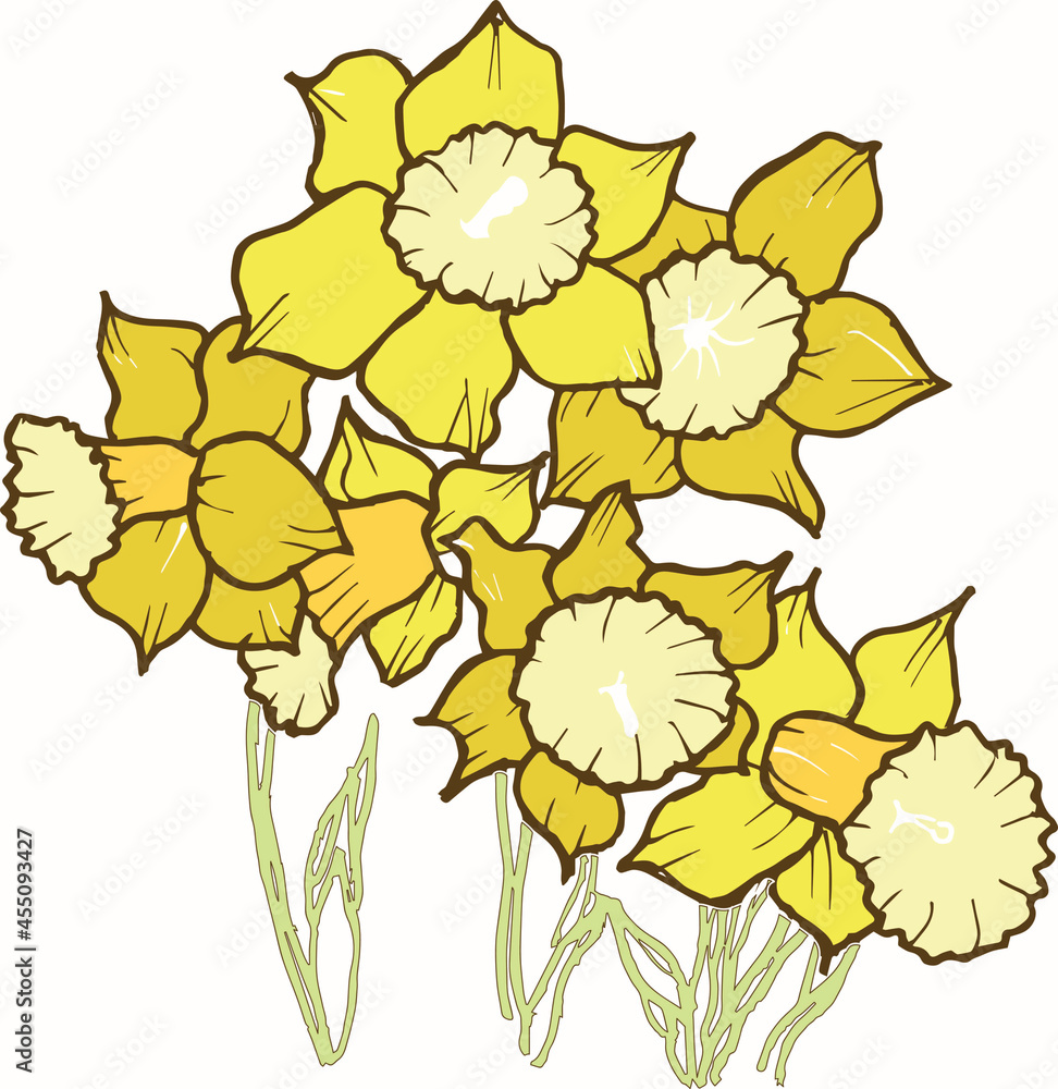 Daffodil combination from a vector file. Flower and green leaf in Grass ...