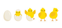 Easter Bunnny And Chick Free Stock Photo - Public Domain Pictures