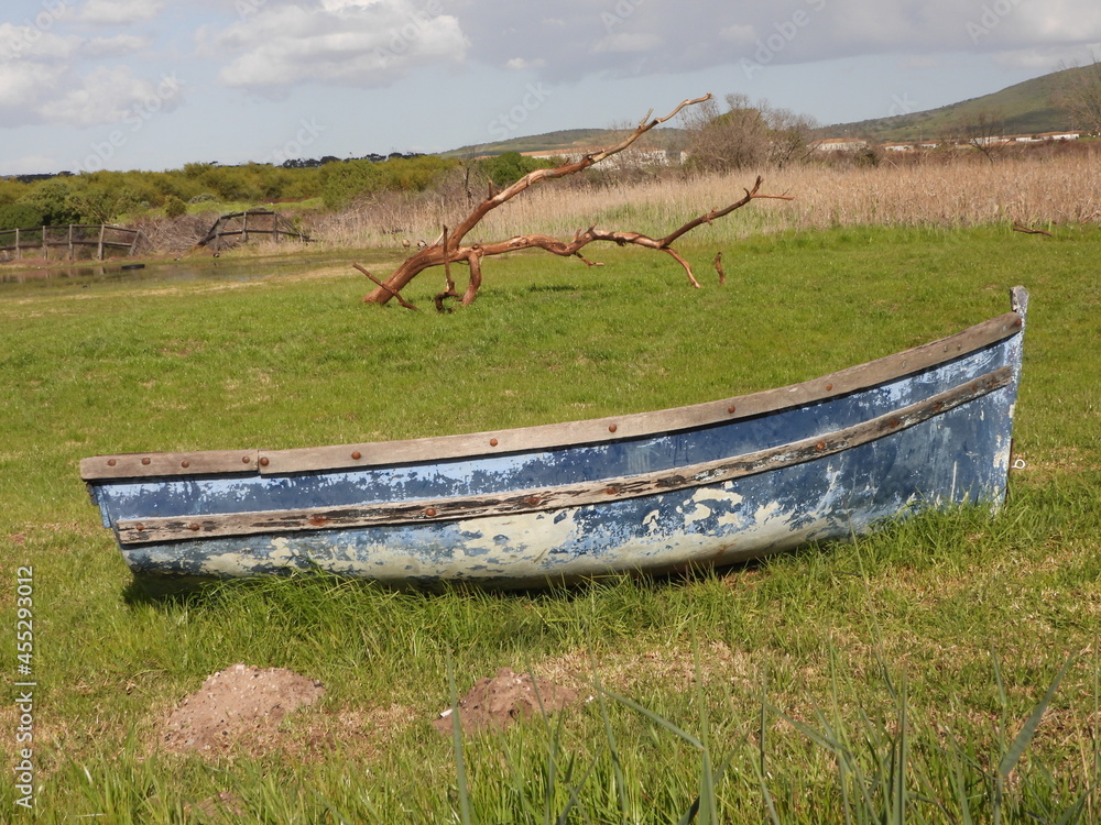 Grounded boat and fallen tree Stock Photo | Adobe Stock