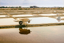 Salt Marsh Free Stock Photo - Public Domain Pictures
