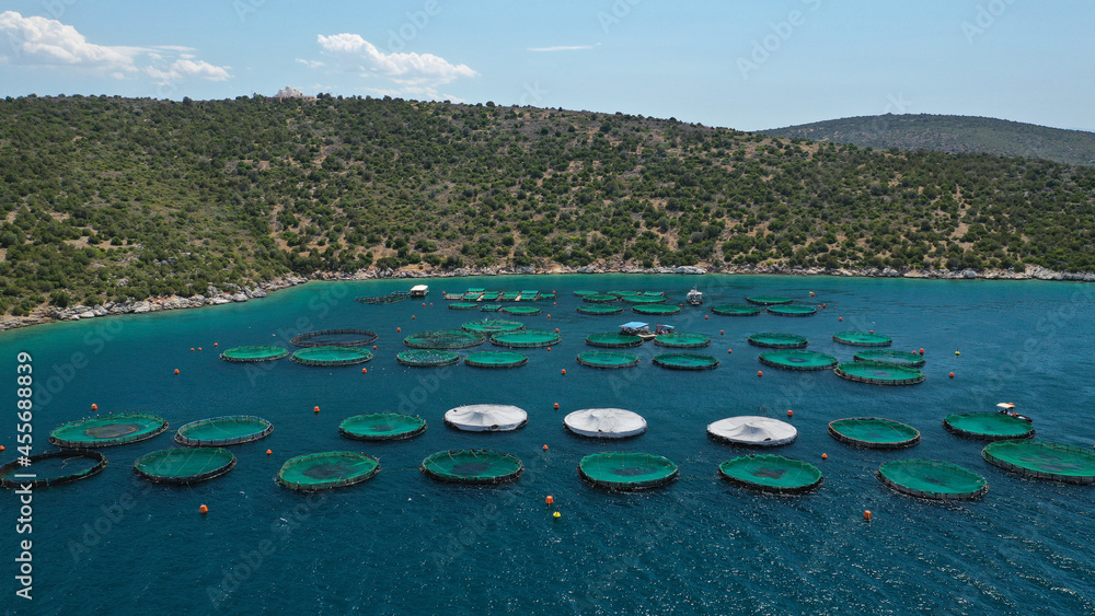Aerial drone photo of large fish farming - breeding unit of sea bass ...