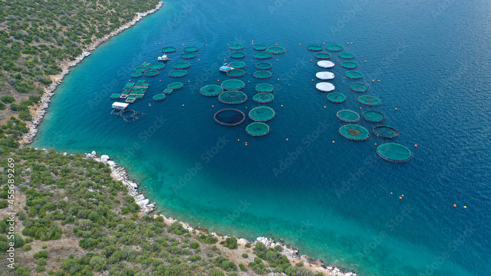Aerial drone photo of large fish farming - breeding unit of sea bass ...