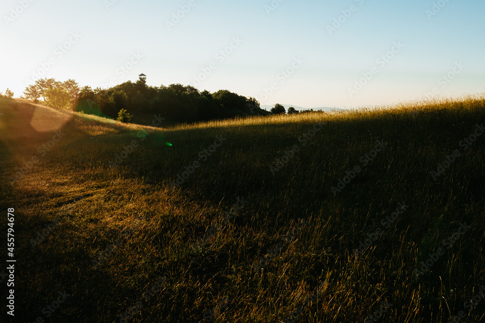 Field In The Morning Stock Photo | Adobe Stock