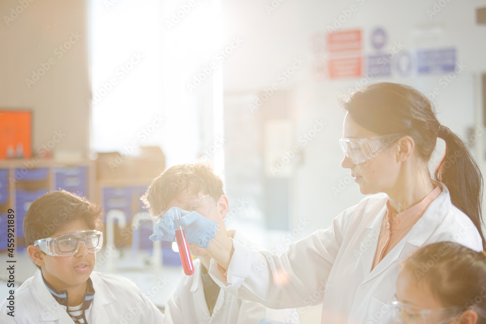 Female teacher and students examining liquid in test tube, conducting ...