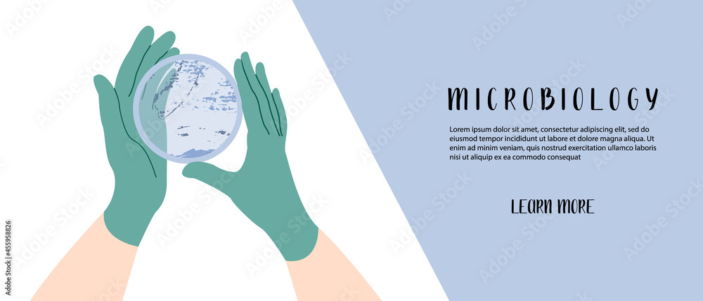 Scientist's hand in glove holding Petri dish, plate with agar ...