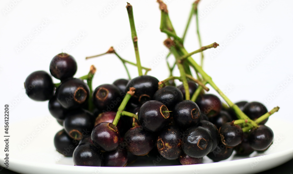 Gowok fruit or Syzygium polycephalum on white background. Commonly ...