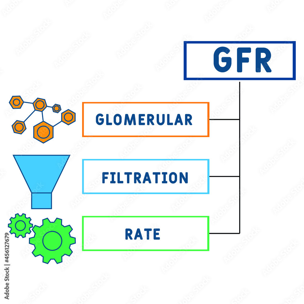 GFR - Glomerular Filtration Rate acronym. medical concept background ...