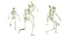 March Of The Skeletons Free Stock Photo - Public Domain Pictures