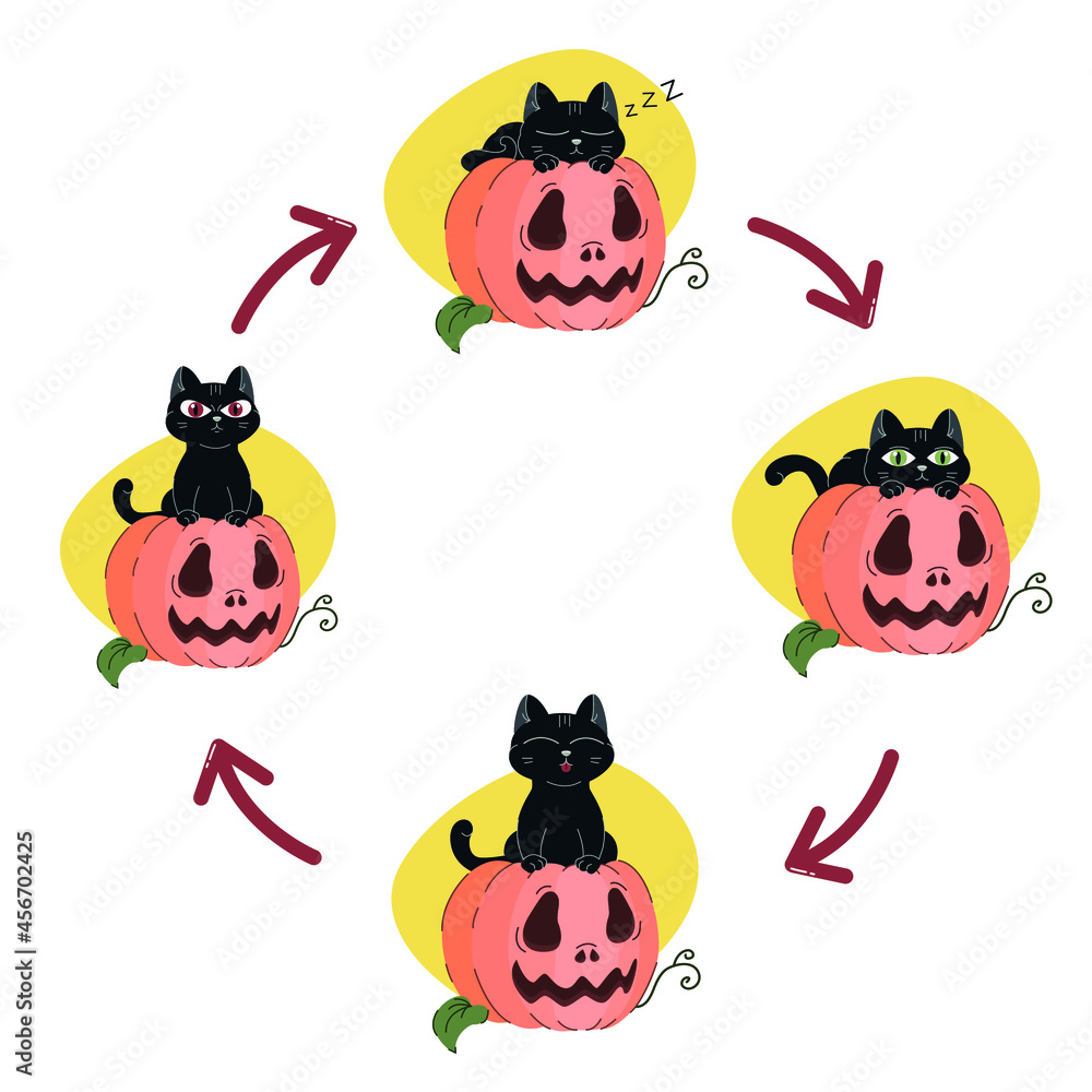 Black cat mood cycle on white background. Black cat sleeping on pumpkin ...