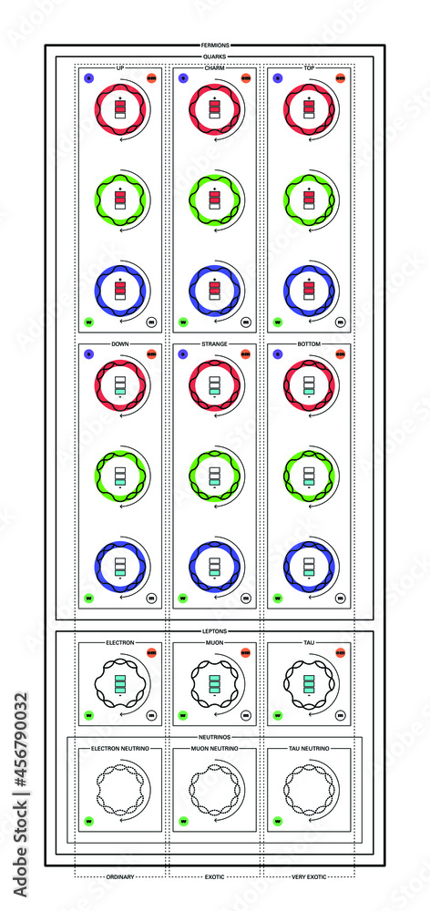 Conceptual vector illustration of the fundamental particles of standard ...