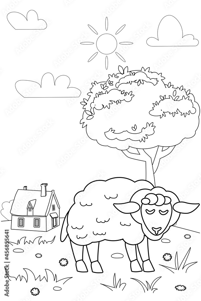 Cute sheep farm animals coloring book educational illustration for ...