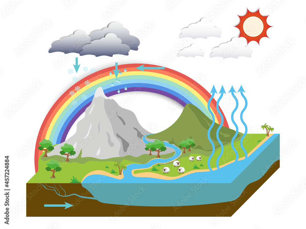the water cycle illustration infographic, Natural phenomena in the ...