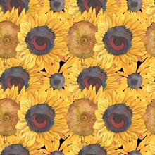Vintage Autumn Sunflower Patchwork Free Stock Photo - Public Domain ...
