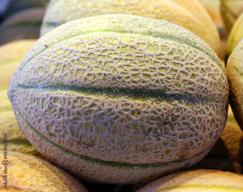 The cantaloupe, rockmelon (Australia and New Zealand), sweet melon, or ...
