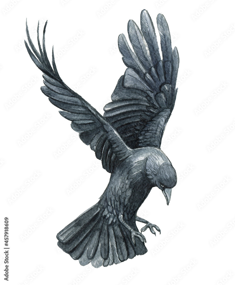 Flying Crow Art