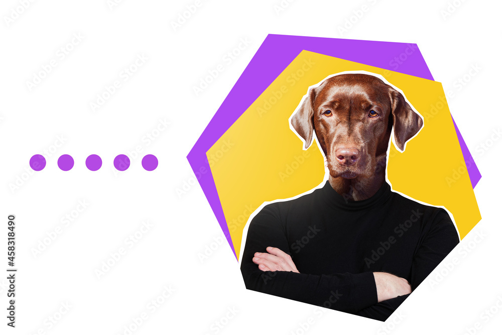 Self-confident person. Dog-man with confident face. Creative portrait ...