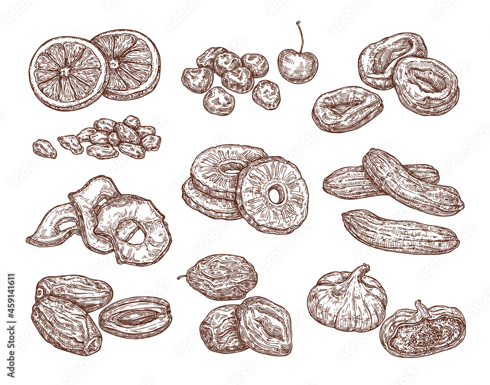 Sketch set of dried fruits. Vector hand drawing of date, raisins, figs ...
