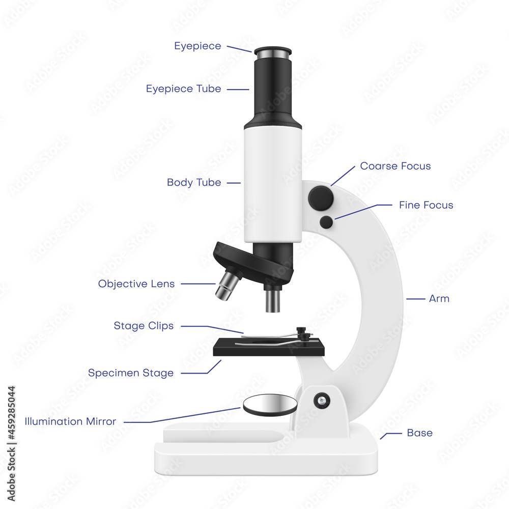 Zoom electronic lab microscope parts names infographic presentation ...