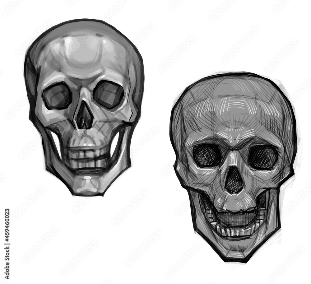Sketch academic drawing skull digital art. human skillet isoletad on ...